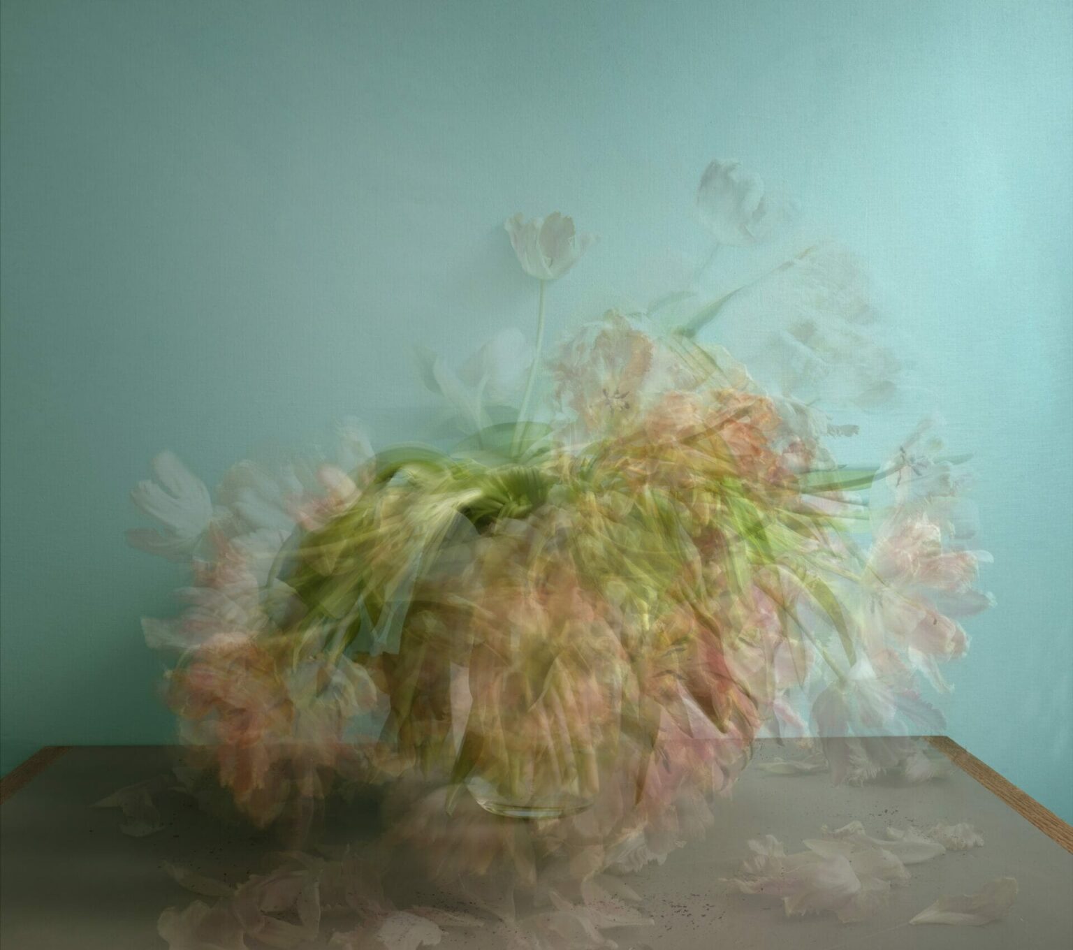Michael Wesely: Stilleben | Galerie Esther Woerdehoff | Paris – Martin ...