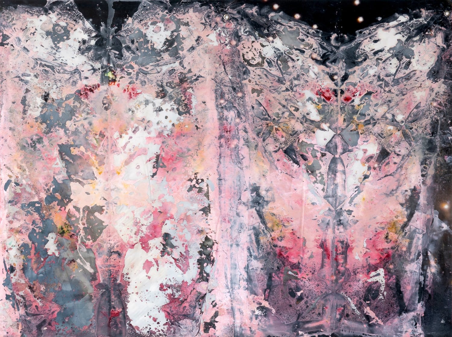 Cole Sternberg: a forest of thoughts in quick succession | Praz ...