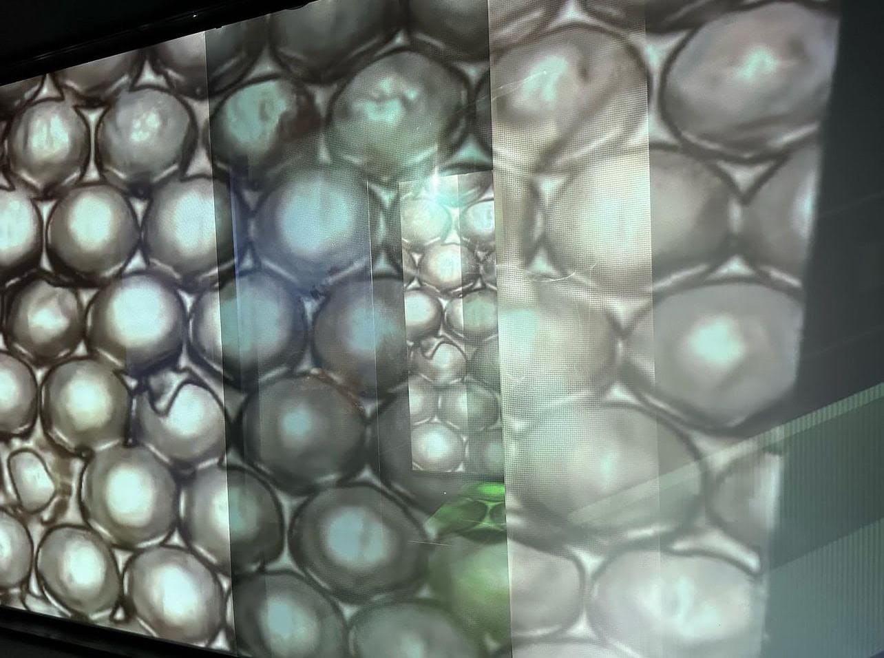 Zheng Chongbin: "Immeasurable Things" | Gallerie du Monde, Hong Kong